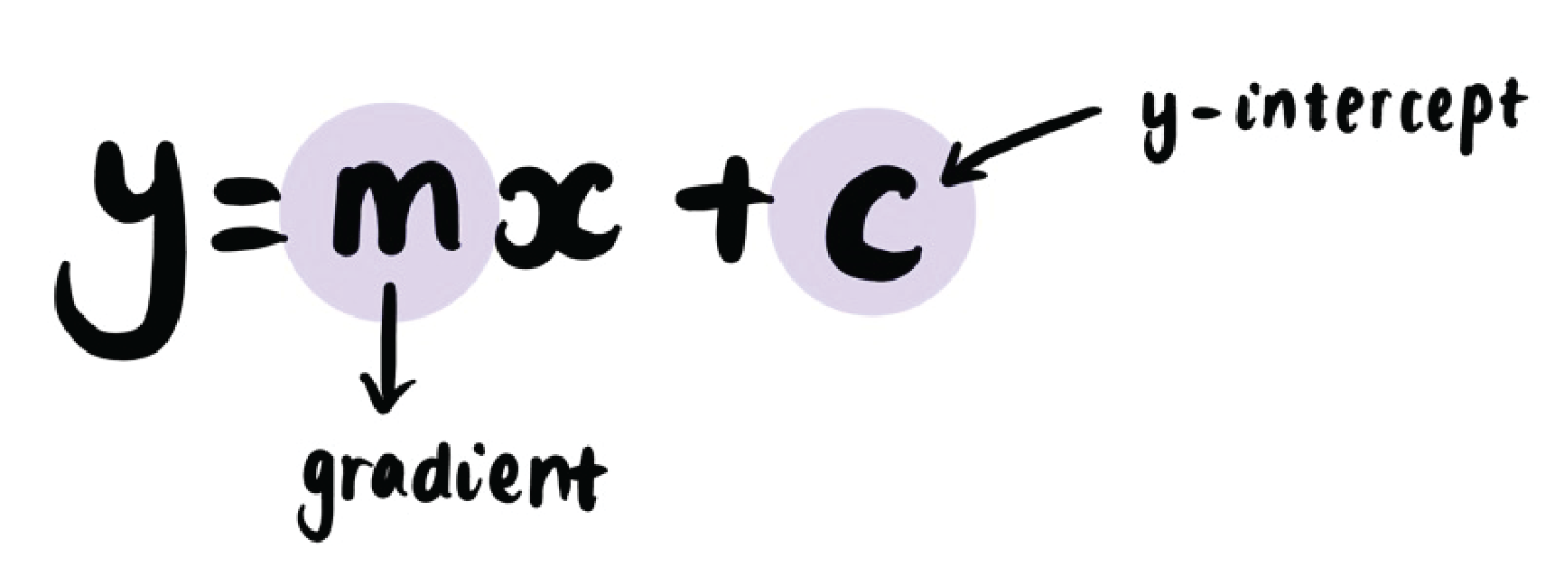 Sketching Polynomials: VCE Methods 1&2 AOS 1 | ATAR Notes